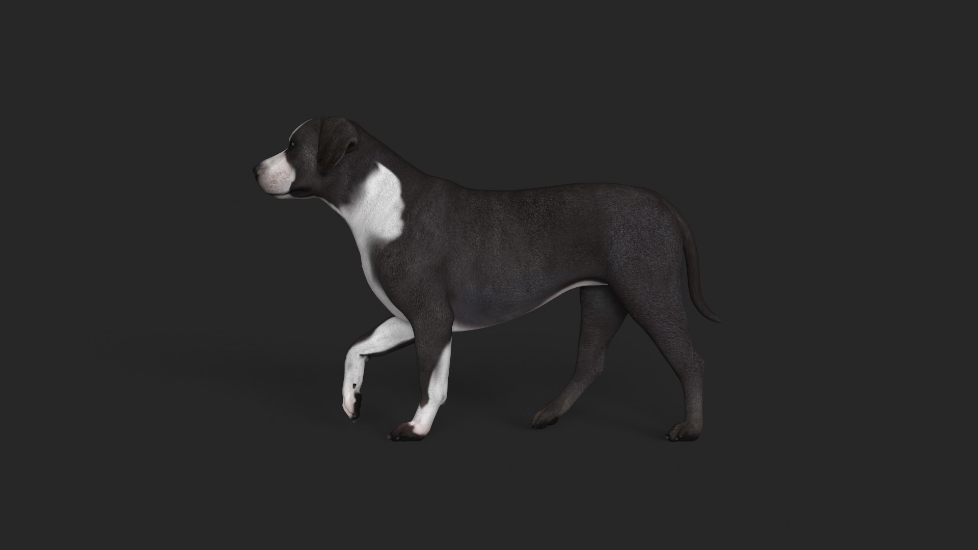 3D Model LAB-031 Dog Walking - TurboSquid 1914796