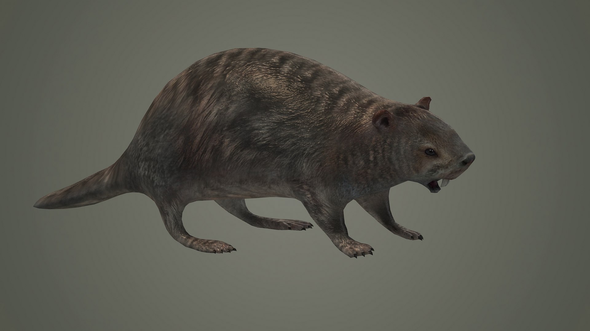 Mammal Groundhog Rodent Beaver Squirrel Mountains 3D - TurboSquid 2229433