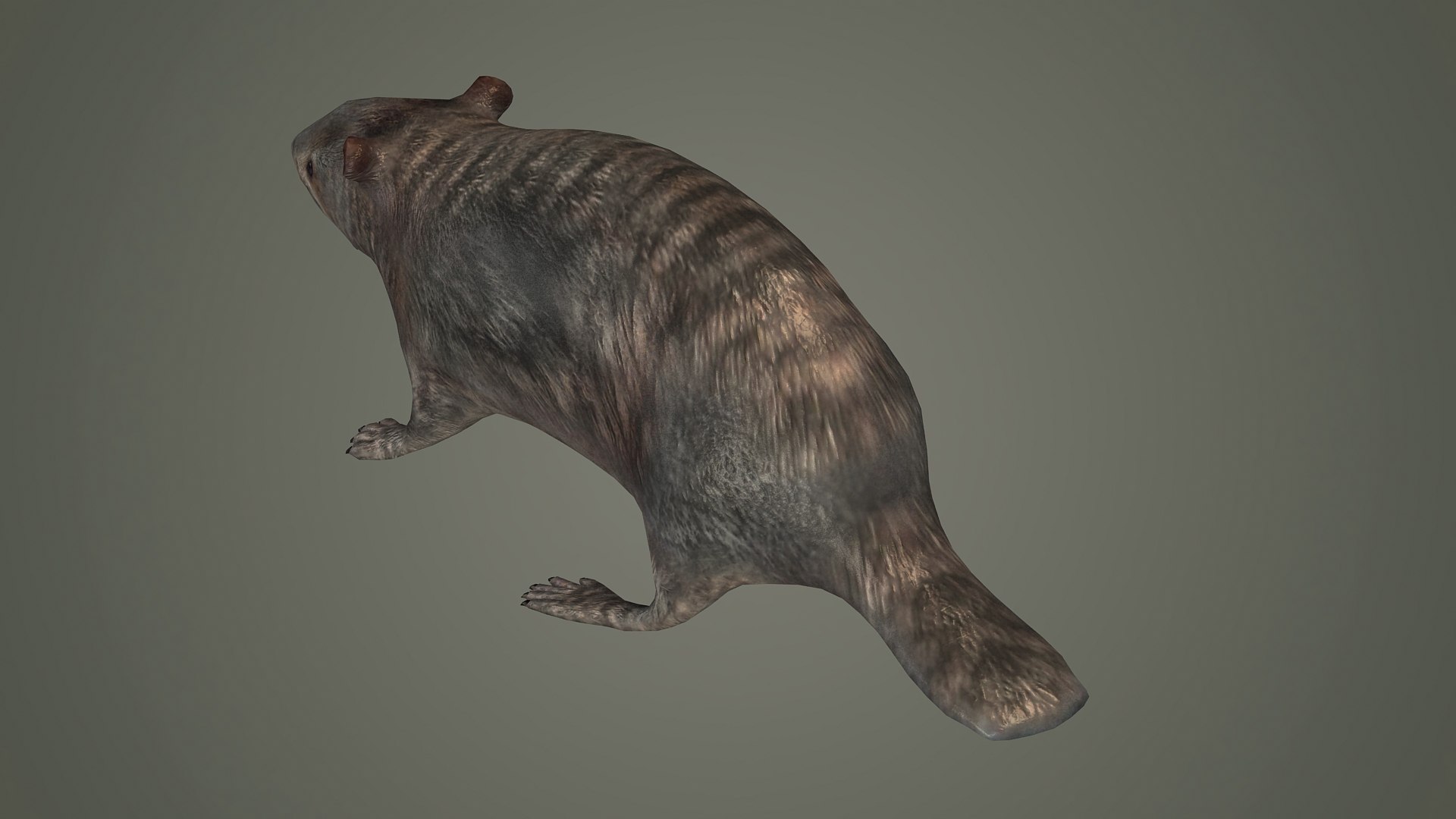 Mammal Groundhog Rodent Beaver Squirrel Mountains 3D - TurboSquid 2229433