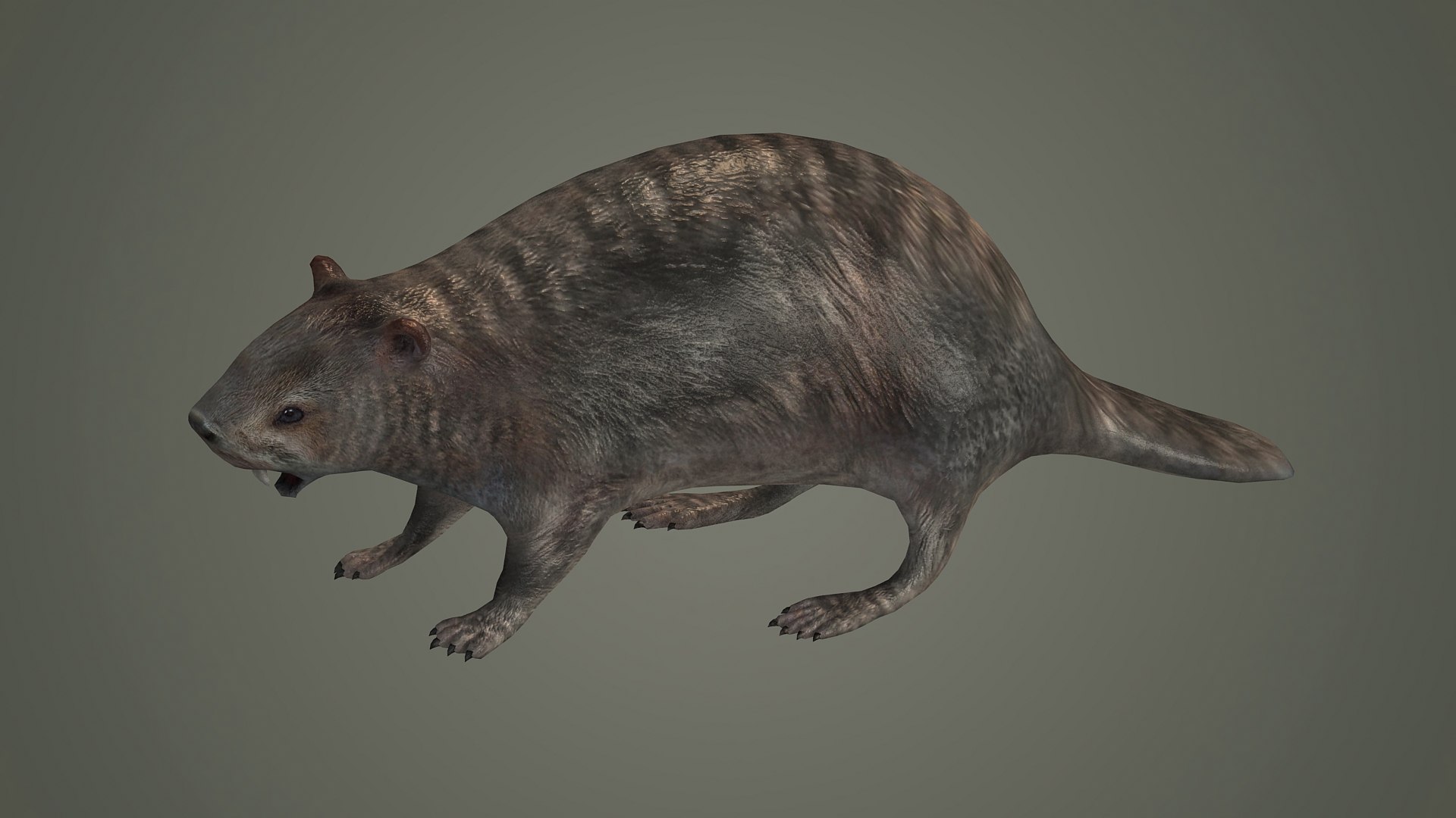 Mammal Groundhog Rodent Beaver Squirrel Mountains 3D - TurboSquid 2229433