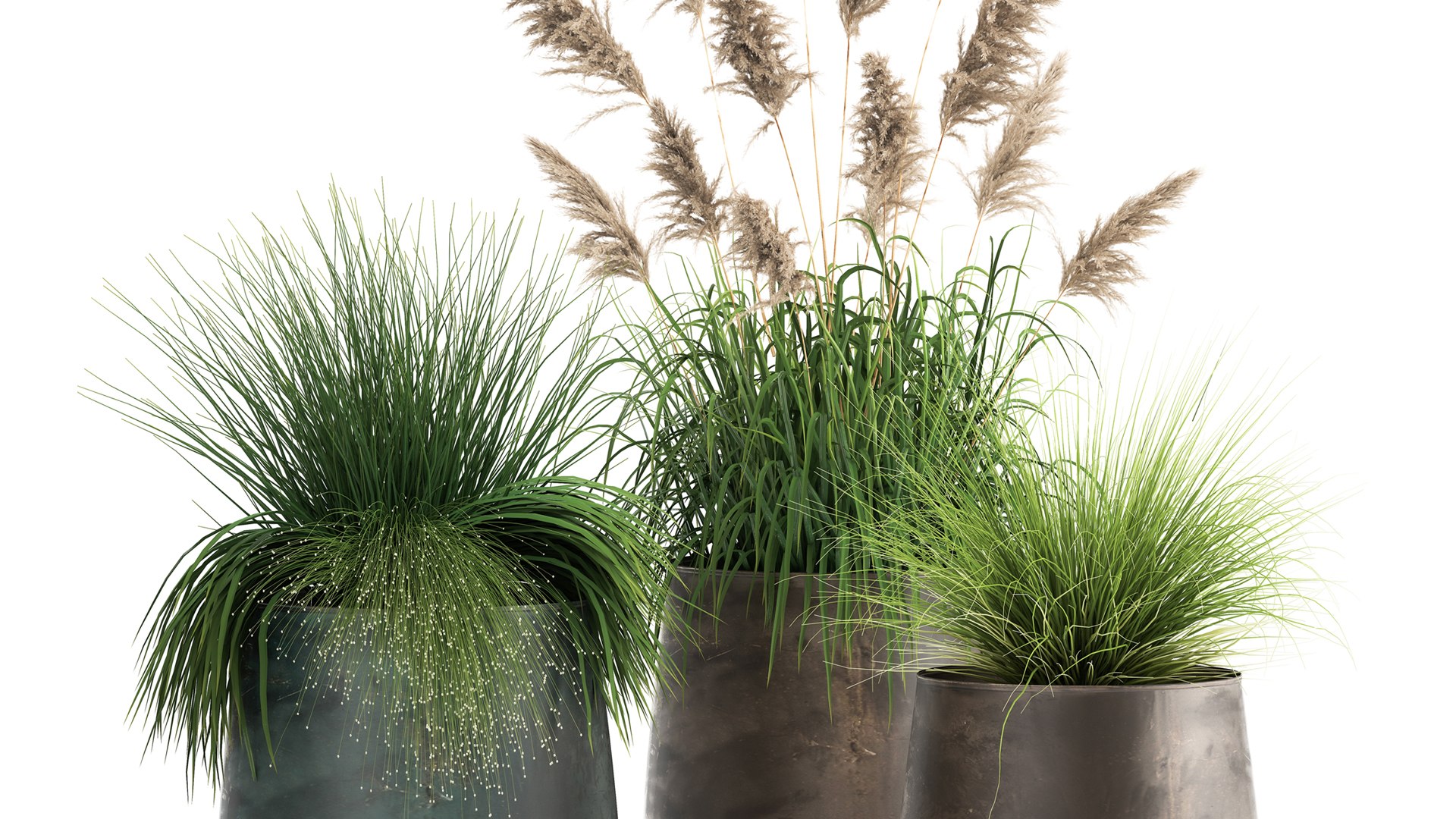 Reeds In A Rusty Flower Pot For The Interior 936 3D Model - TurboSquid ...