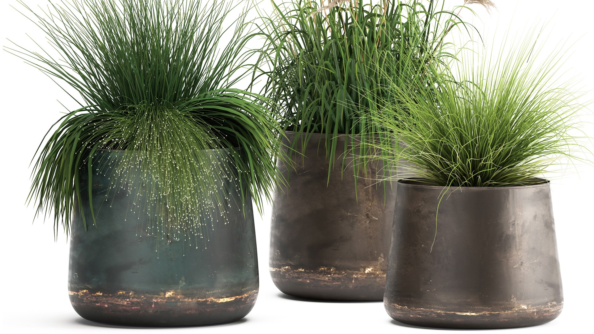 Reeds In A Rusty Flower Pot For The Interior 936 3D Model - TurboSquid ...