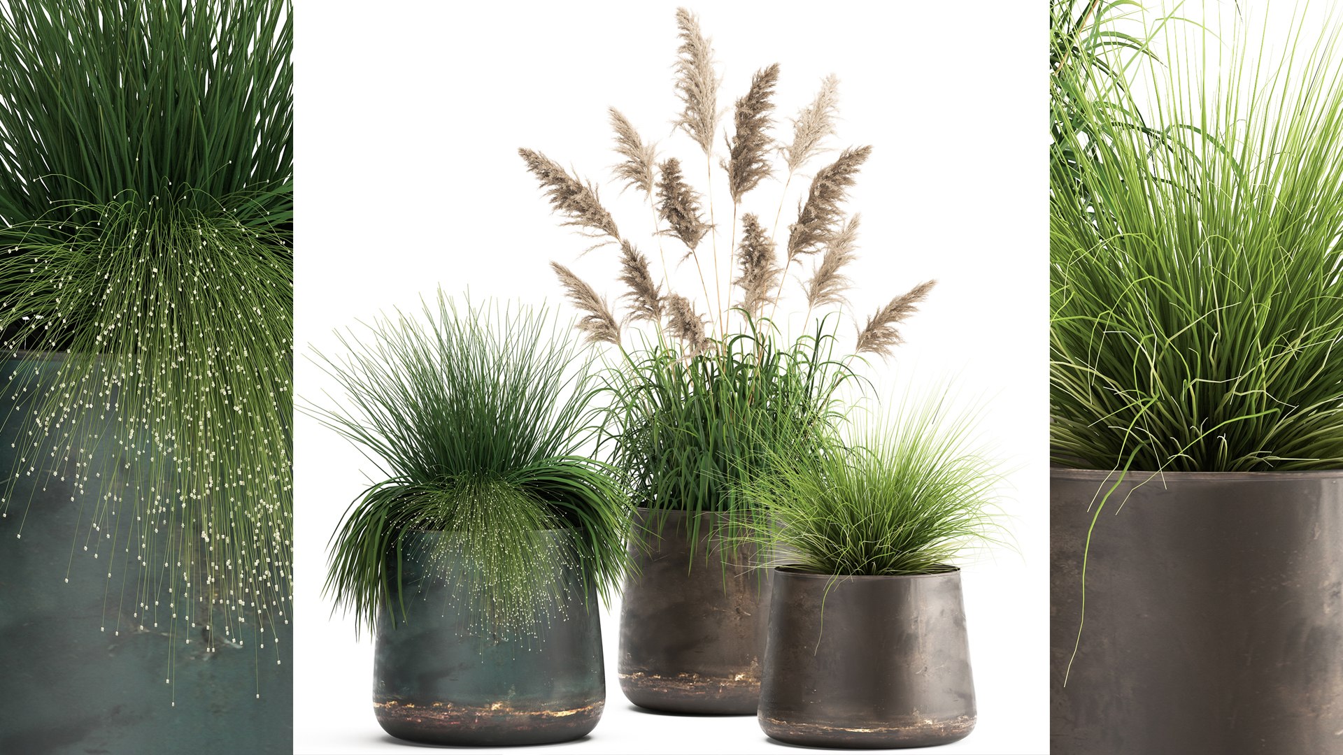 Reeds In A Rusty Flower Pot For The Interior 936 3D Model - TurboSquid ...