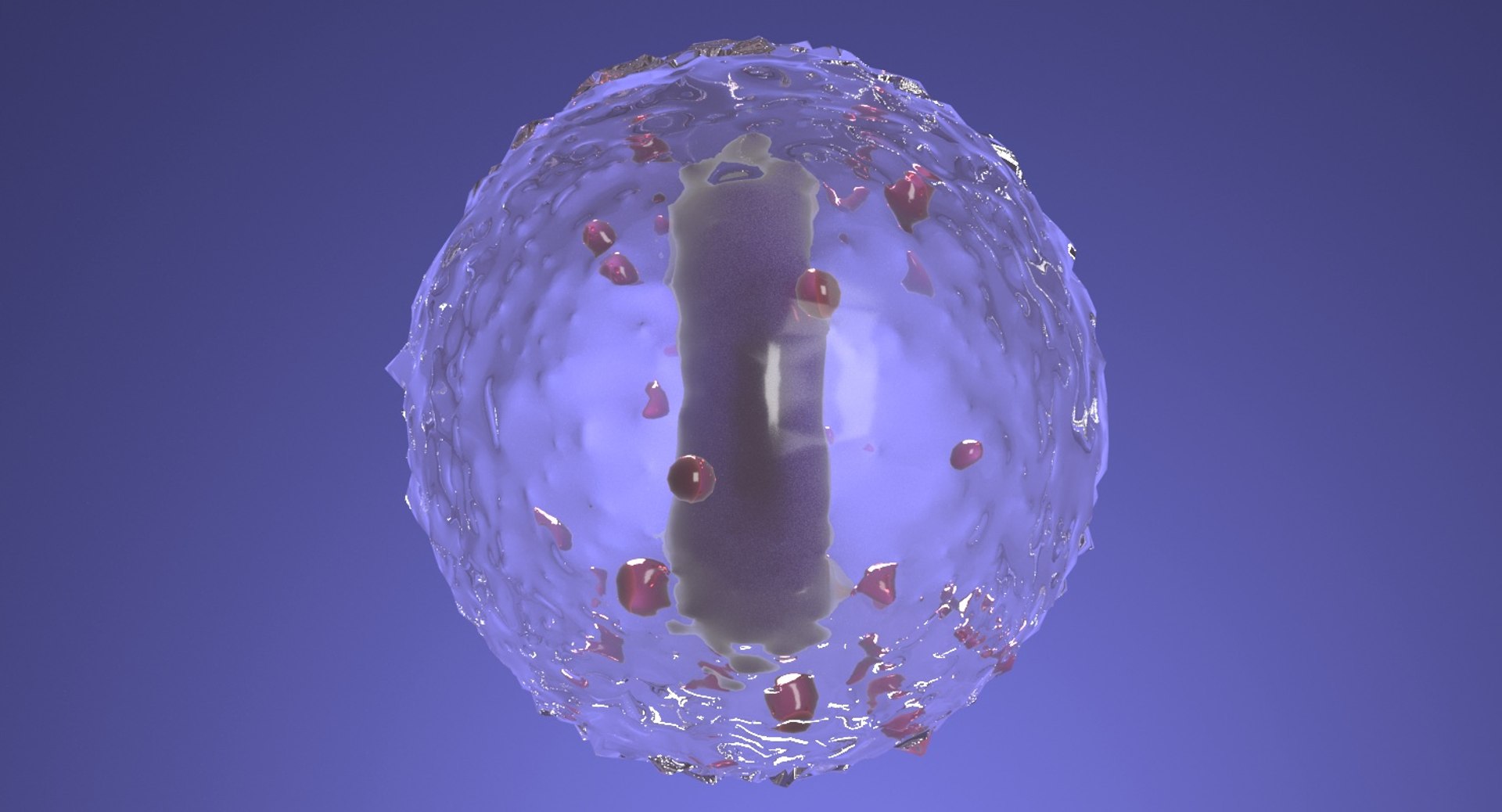 3D Monocyte Granule Nucleus - TurboSquid 1351009