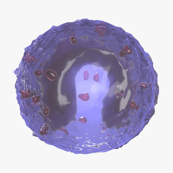 3D monocyte granule nucleus - TurboSquid 1351009