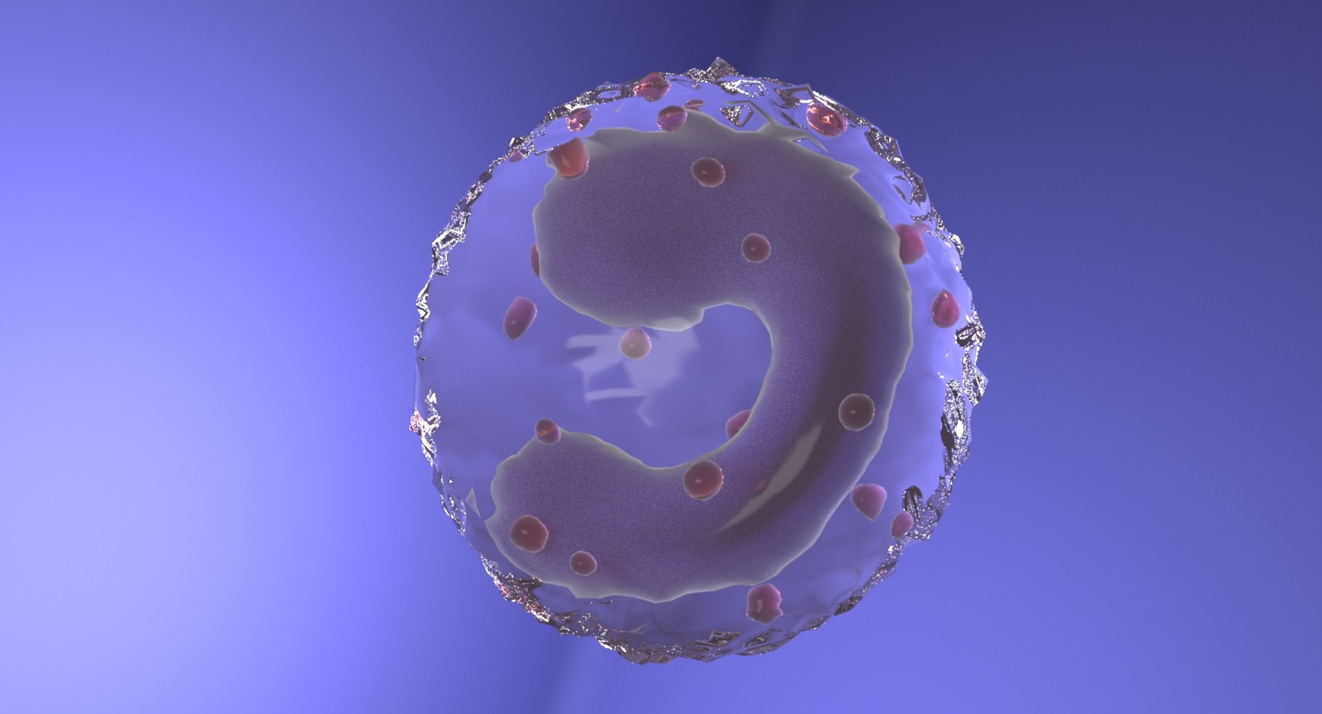 3D Monocyte Granule Nucleus - TurboSquid 1351009