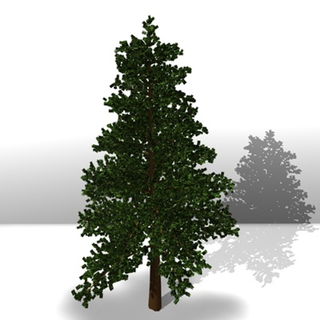 Tree 3d Model