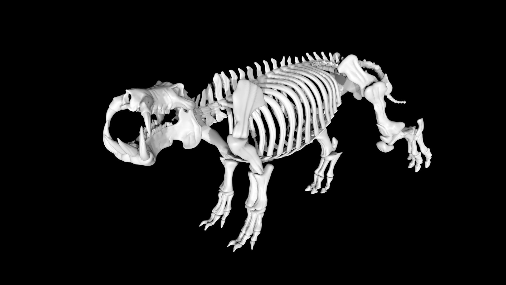 3D Rigged Hippo Skeleton - TurboSquid 1853942
