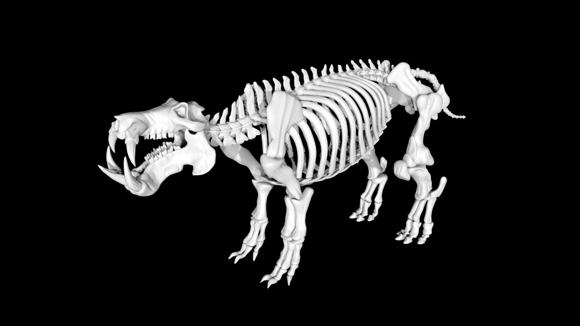 3D Rigged Hippo Skeleton - TurboSquid 1853942