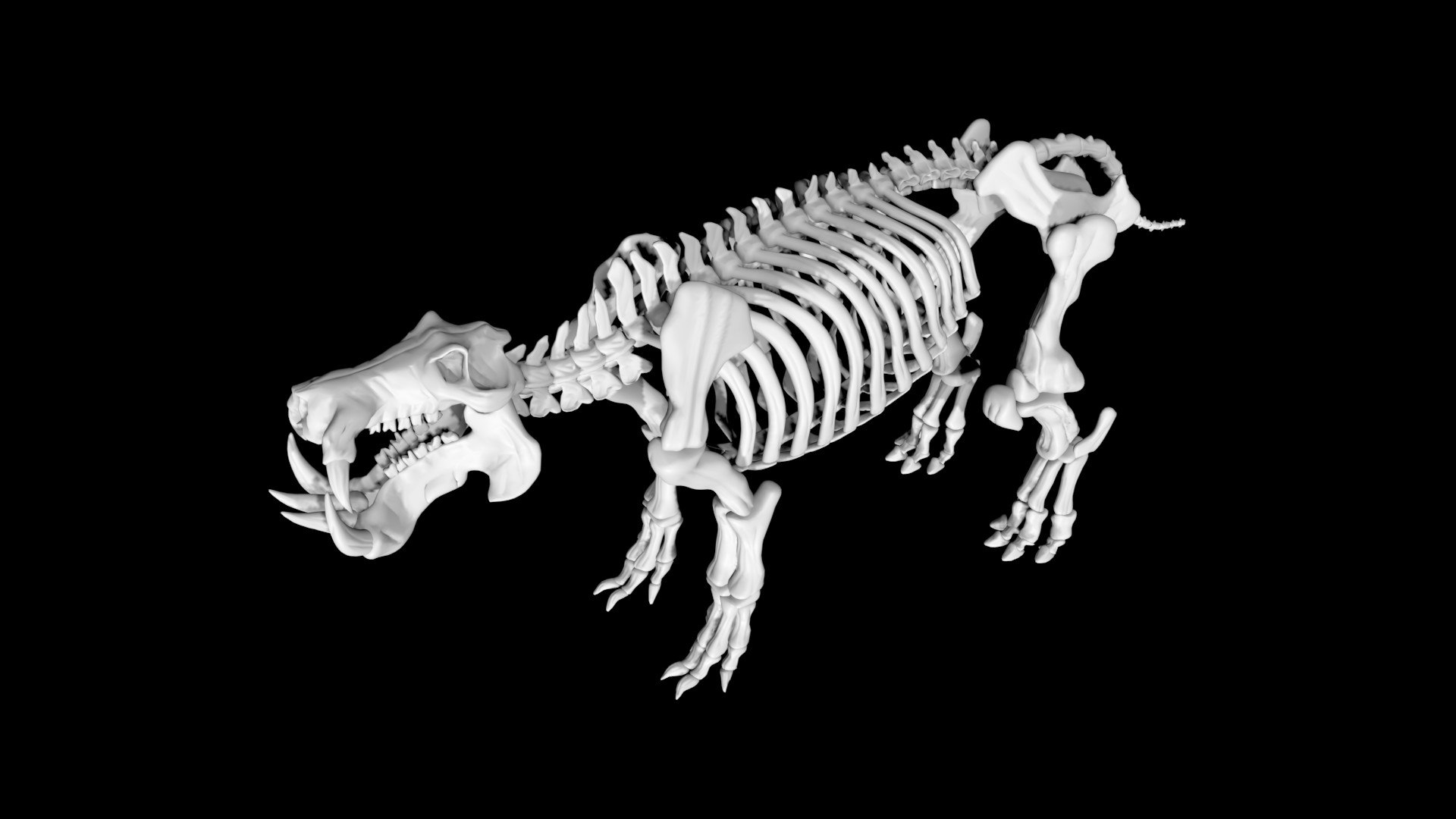 3D Rigged Hippo Skeleton - TurboSquid 1853942