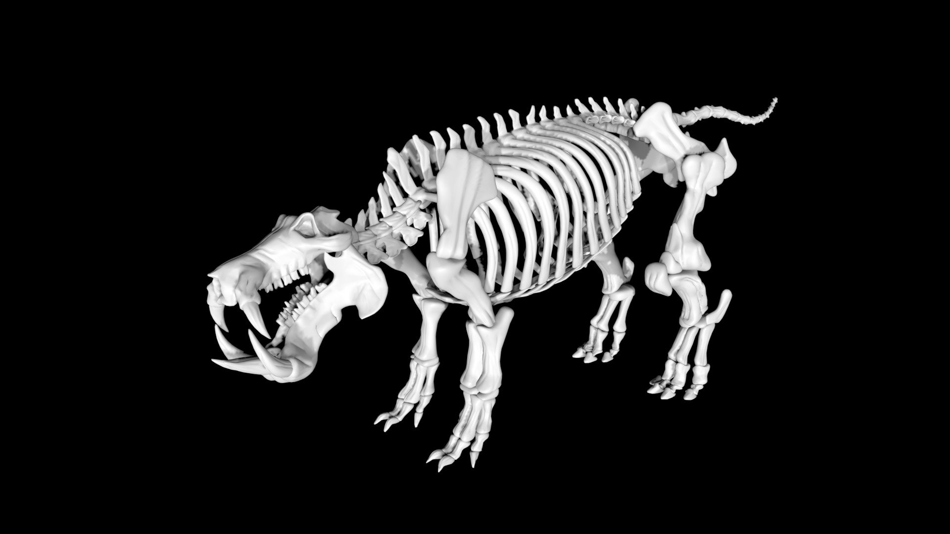 3D Rigged Hippo Skeleton - TurboSquid 1853942
