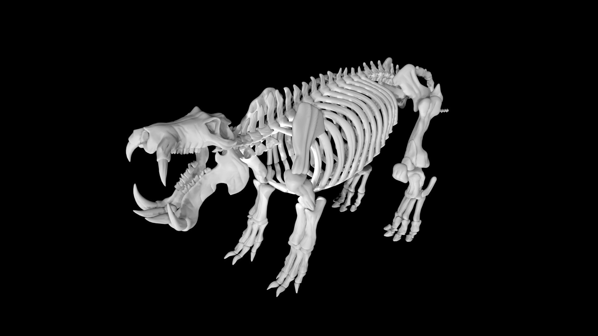 3D Rigged Hippo Skeleton - TurboSquid 1853942