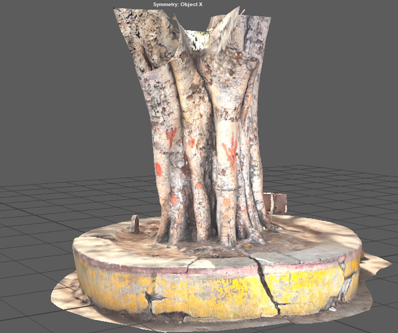 Old Tree Trunk of Pipal Tree 3D model - TurboSquid 1877659