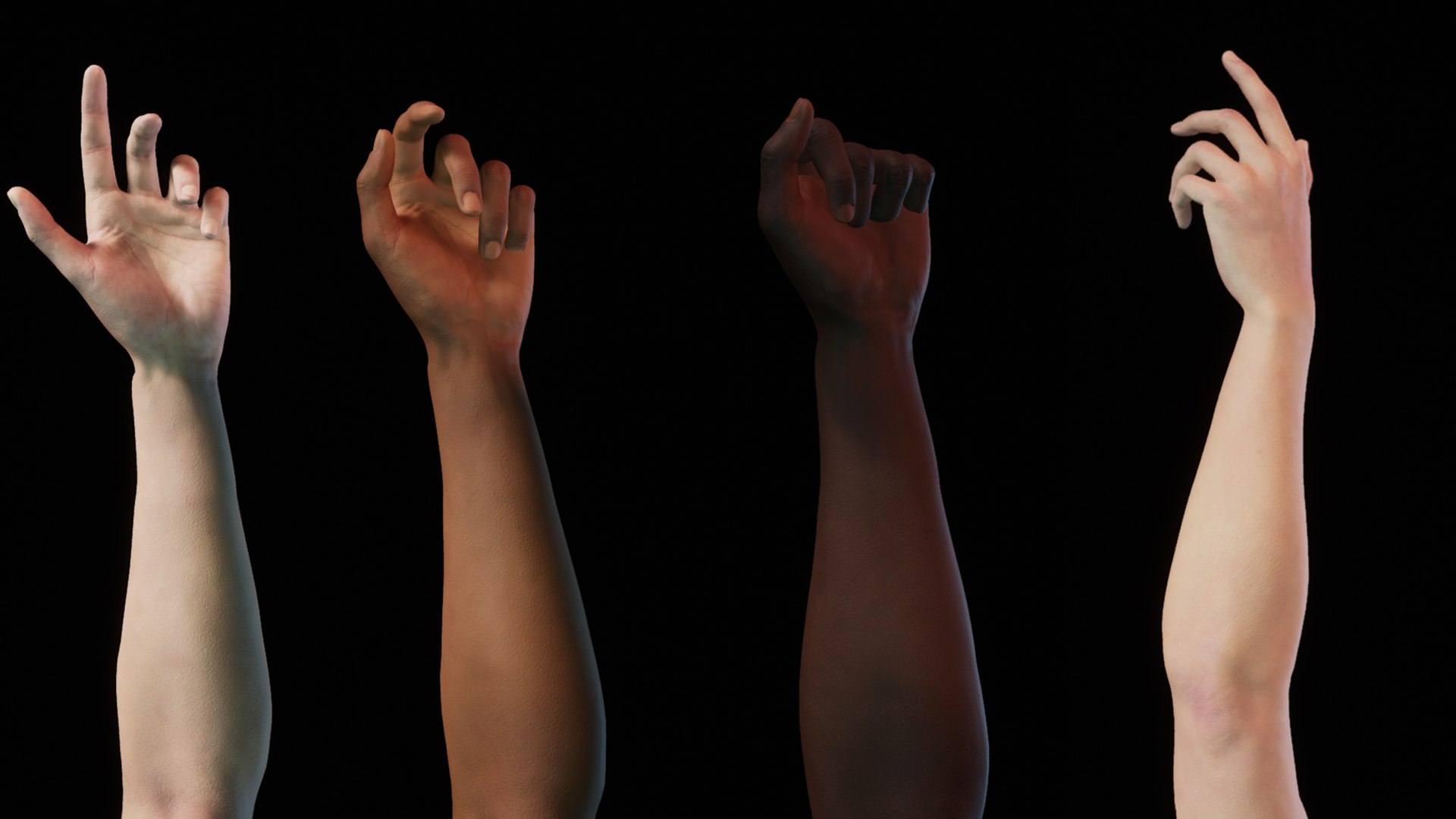 3D Female Hand Arms Pack 1 - Human Anatomy Model - TurboSquid 2209558