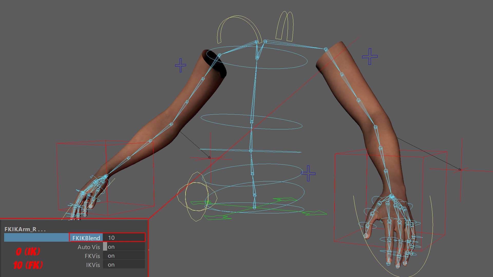 3D Female Hand Arms Pack 1 - Human Anatomy Model - TurboSquid 2209558