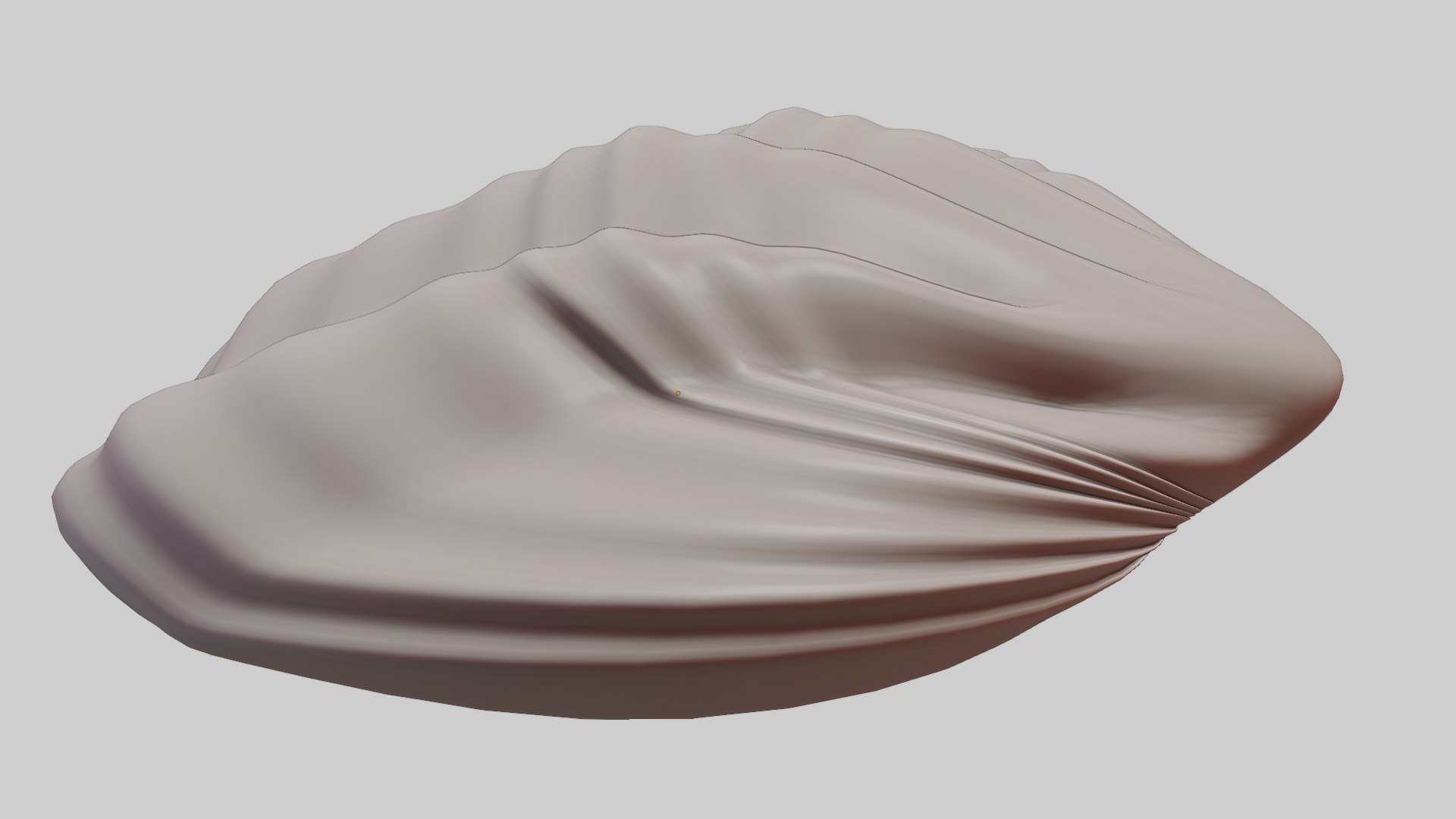 Fan Sea Shell 3D model - TurboSquid 2081821