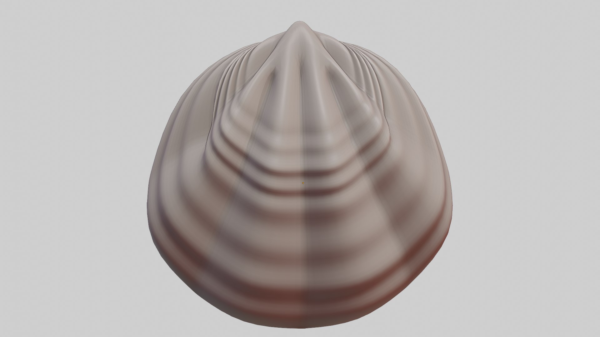 Fan Sea Shell 3D Model - TurboSquid 2081821