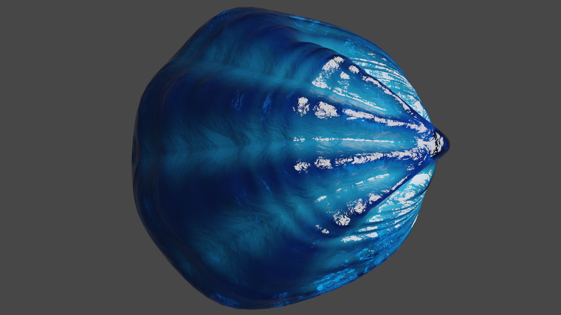 Fan Sea Shell 3D Model - TurboSquid 2081821
