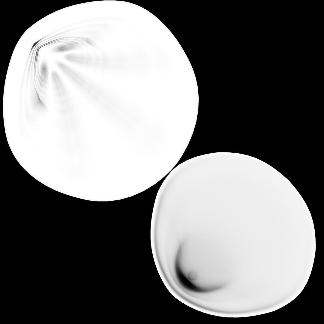 Fan Sea Shell 3D Model - TurboSquid 2081821