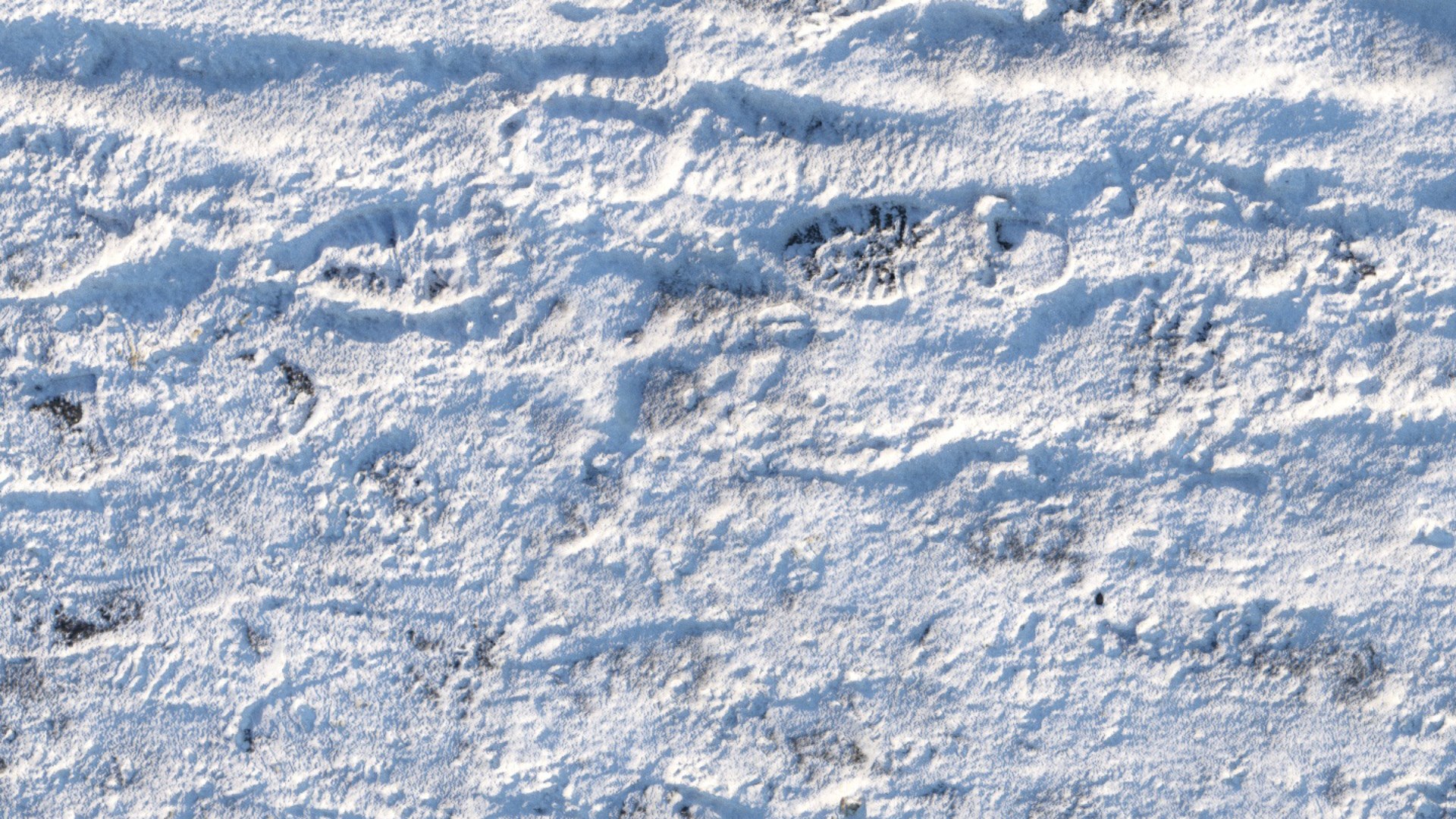 3D Winter Path 04 8 Meters Model - TurboSquid 1908438