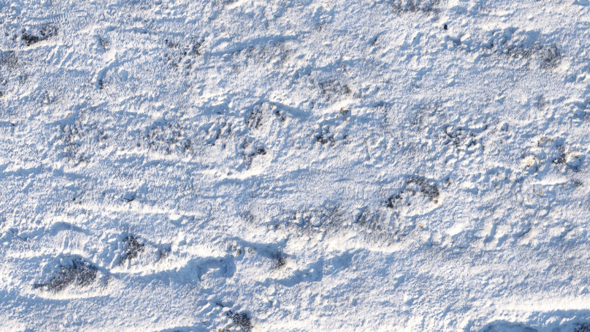 3D Winter Path 04 8 Meters Model - TurboSquid 1908438