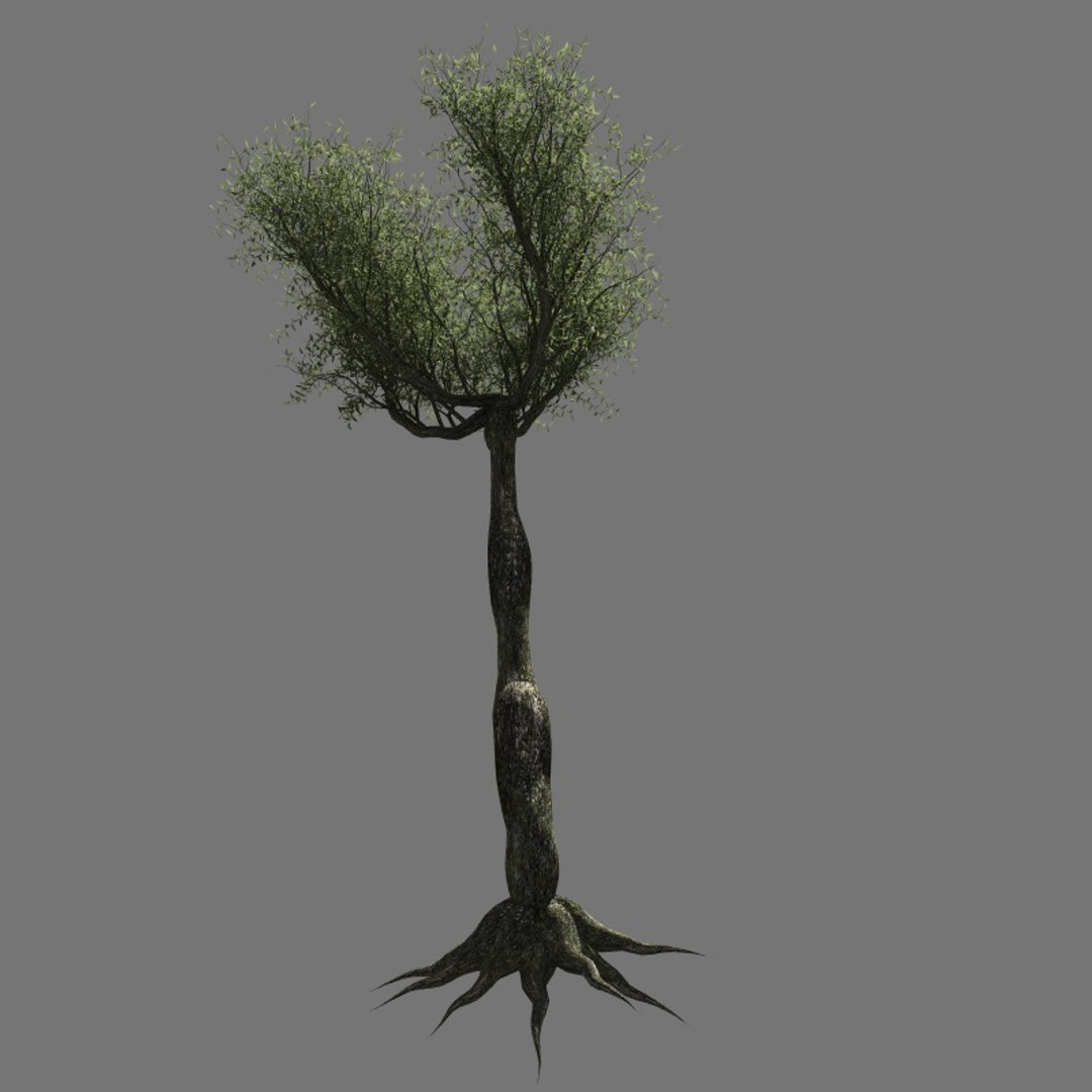 Olive Tree 3d 3ds