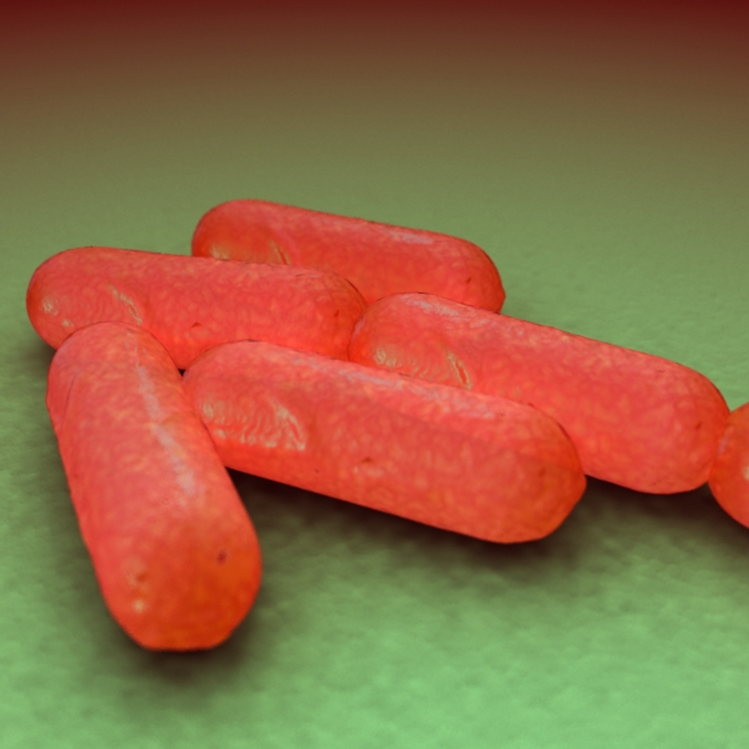 Bacillus Bacteria Max