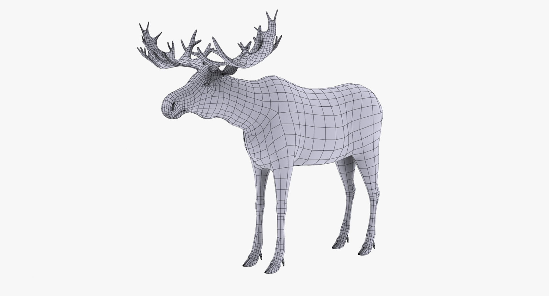 3D Moose Beast Animal - TurboSquid 1431448