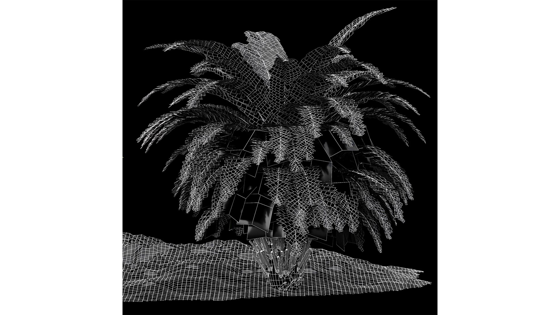 3D Forest Lawn Iron Fern Plant - TurboSquid 2245084