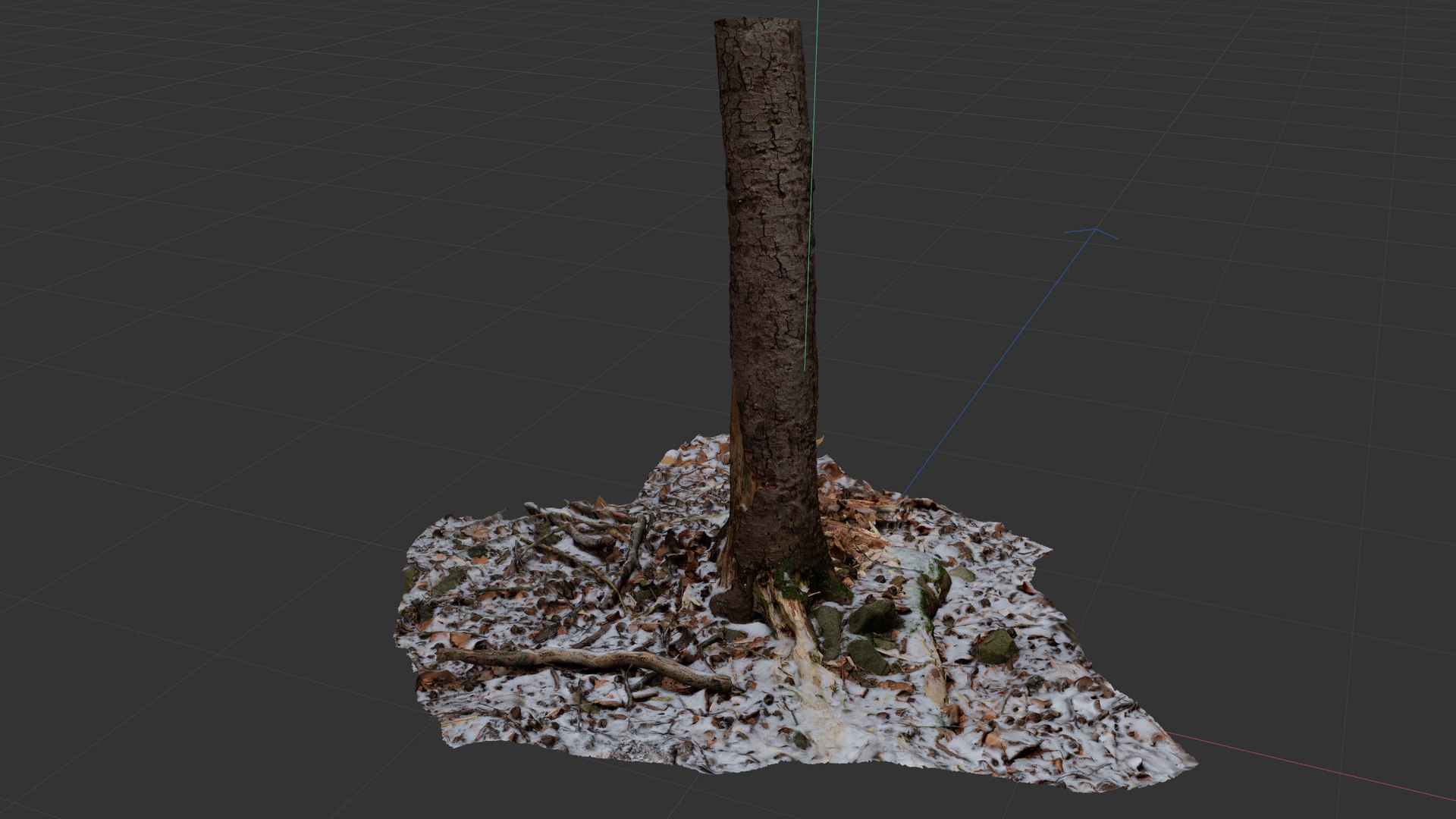 3D model Swiss Winter Tree 003 - TurboSquid 2177164
