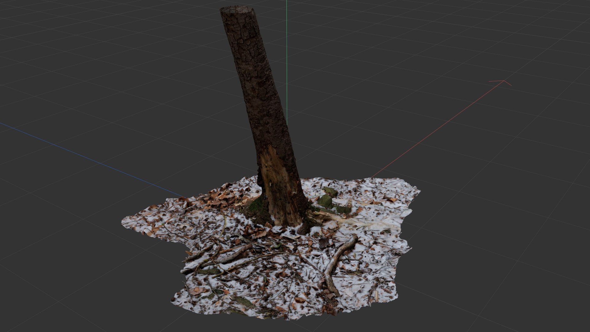 3D model Swiss Winter Tree 003 - TurboSquid 2177164
