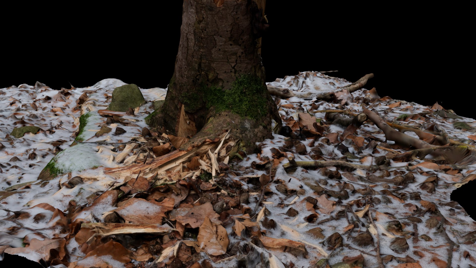 3D model Swiss Winter Tree 003 - TurboSquid 2177164