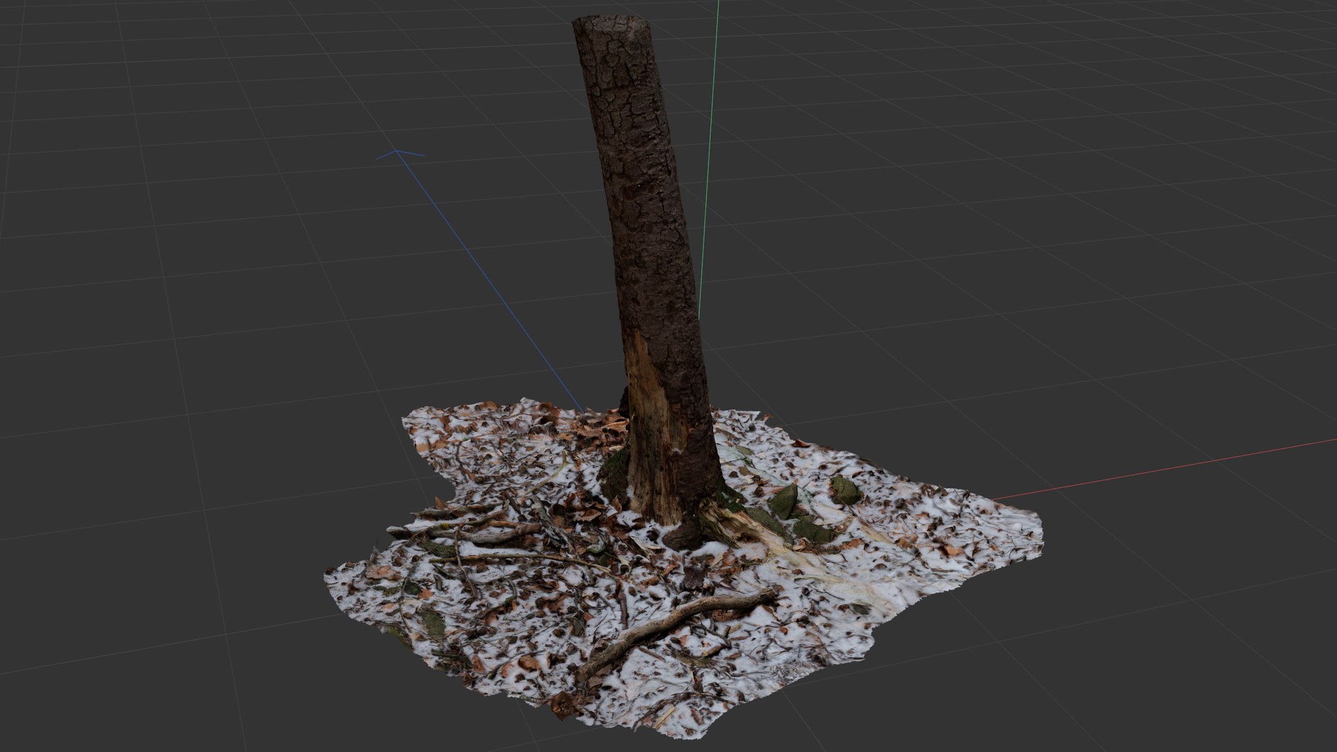 3D model Swiss Winter Tree 003 - TurboSquid 2177164