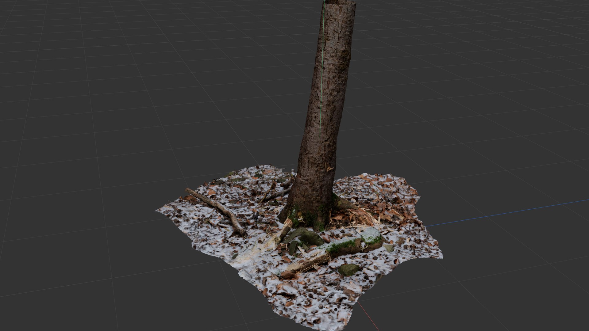 3D model Swiss Winter Tree 003 - TurboSquid 2177164