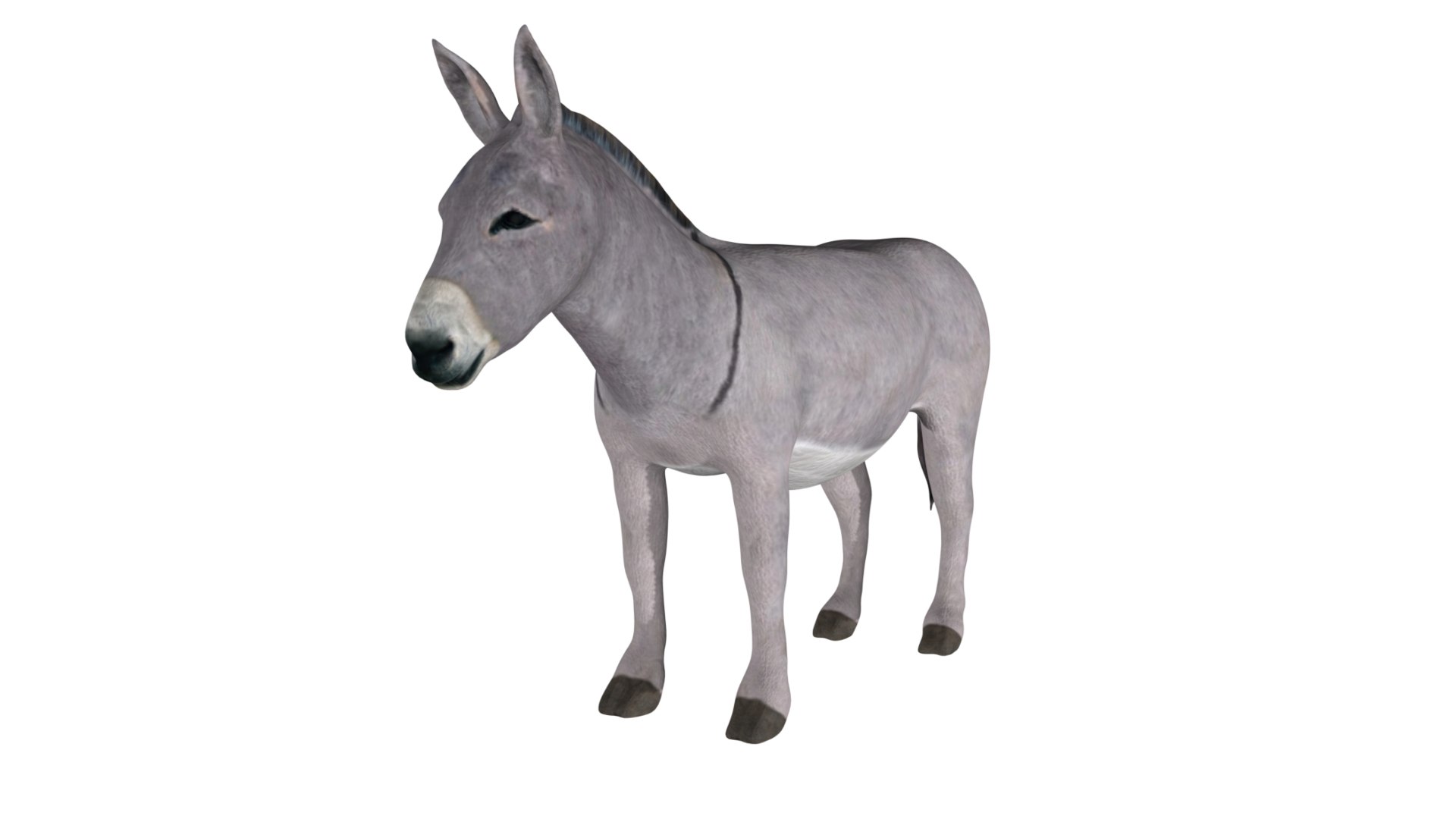 Rigged Low Poly Donkey 3D Model - TurboSquid 1763136