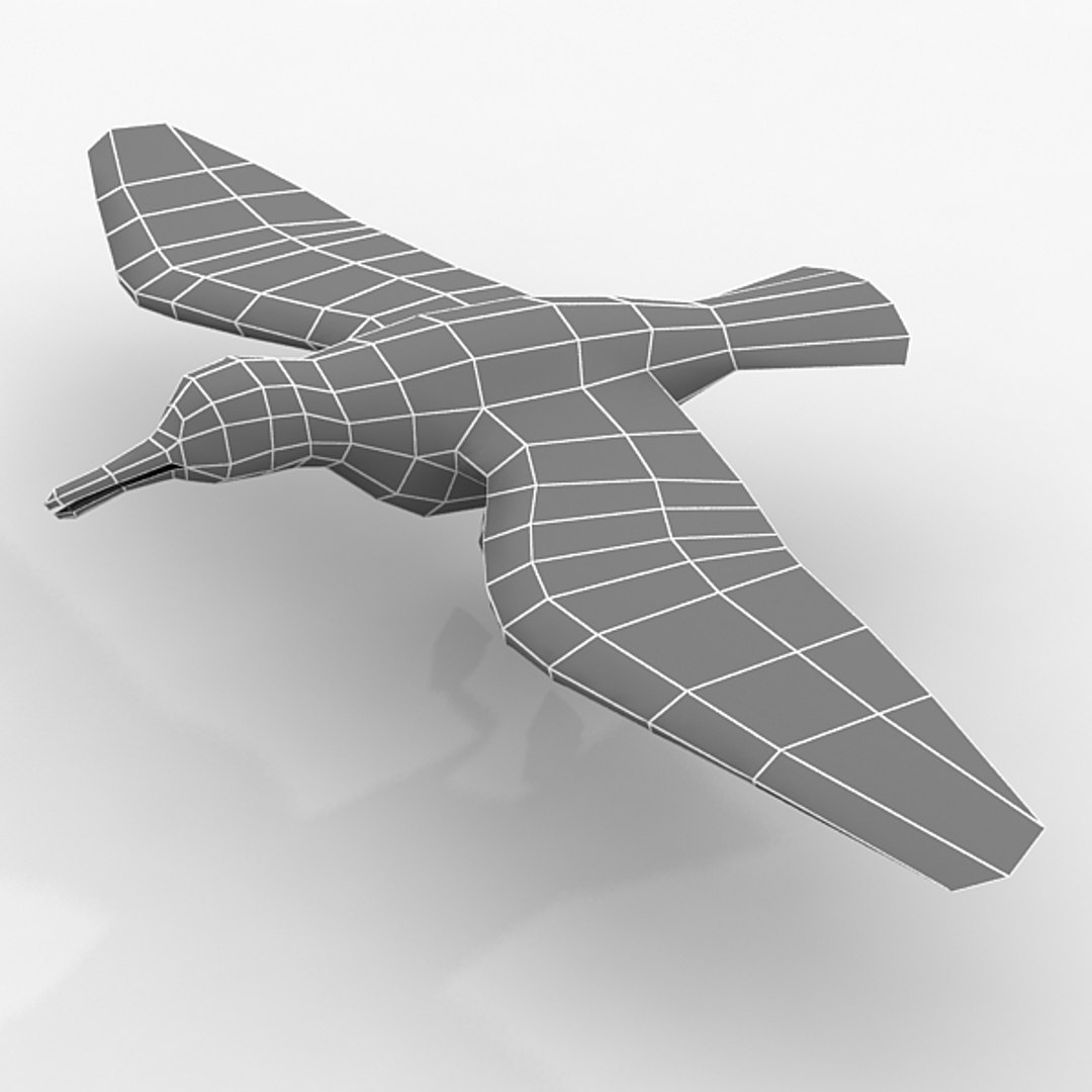 3d Model Seagull Sea