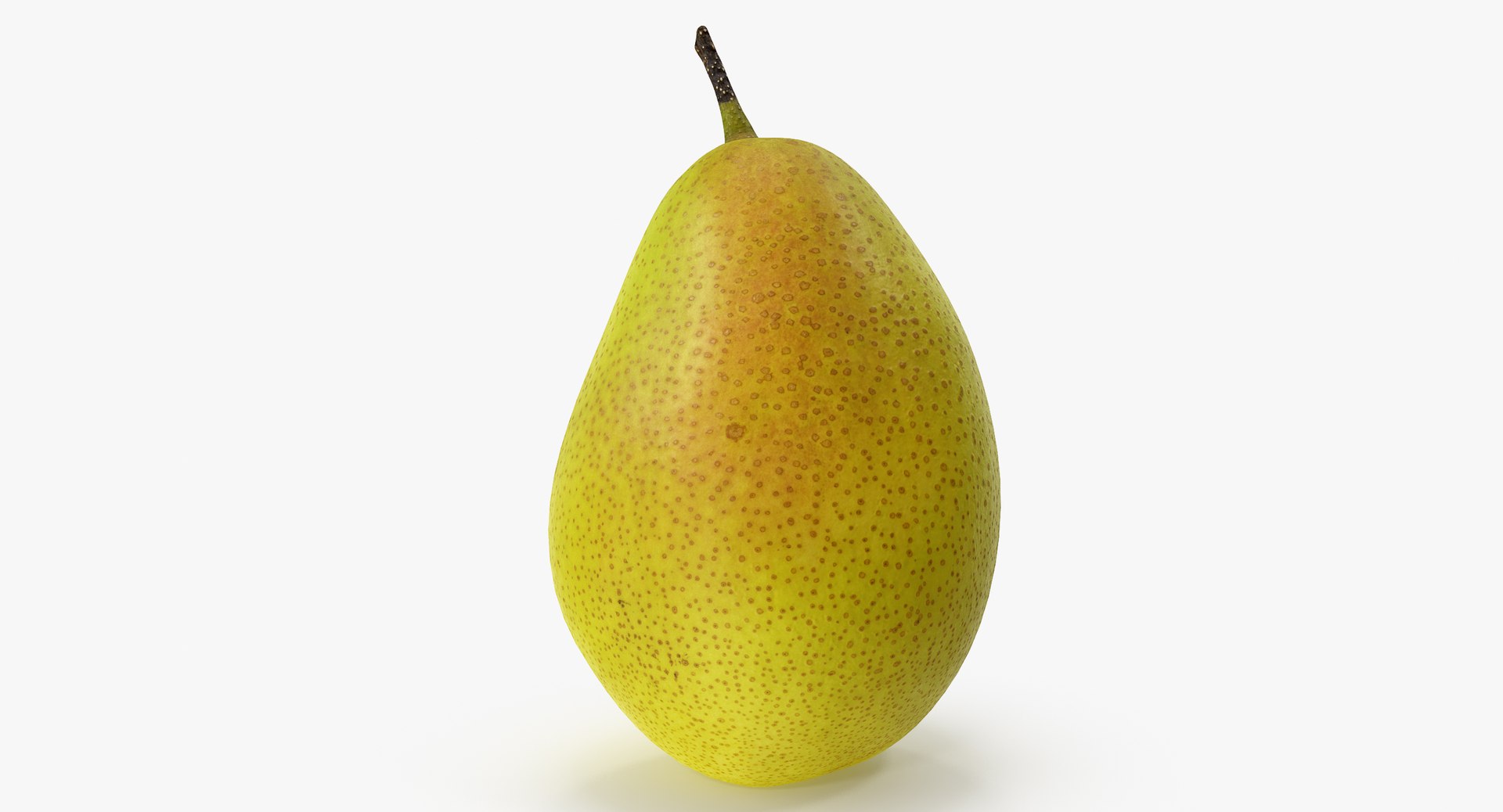 3D Pear Forest Beauty - TurboSquid 1343830