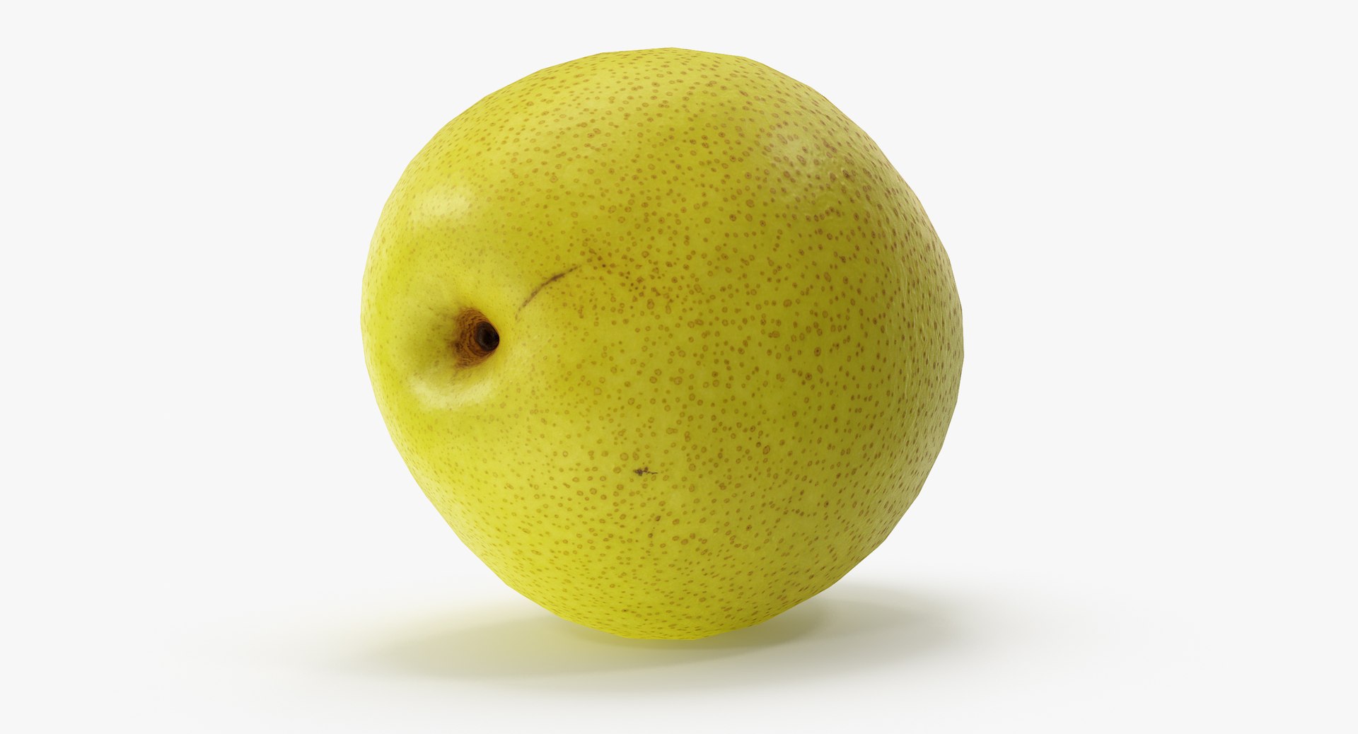 3D Pear Forest Beauty - TurboSquid 1343830