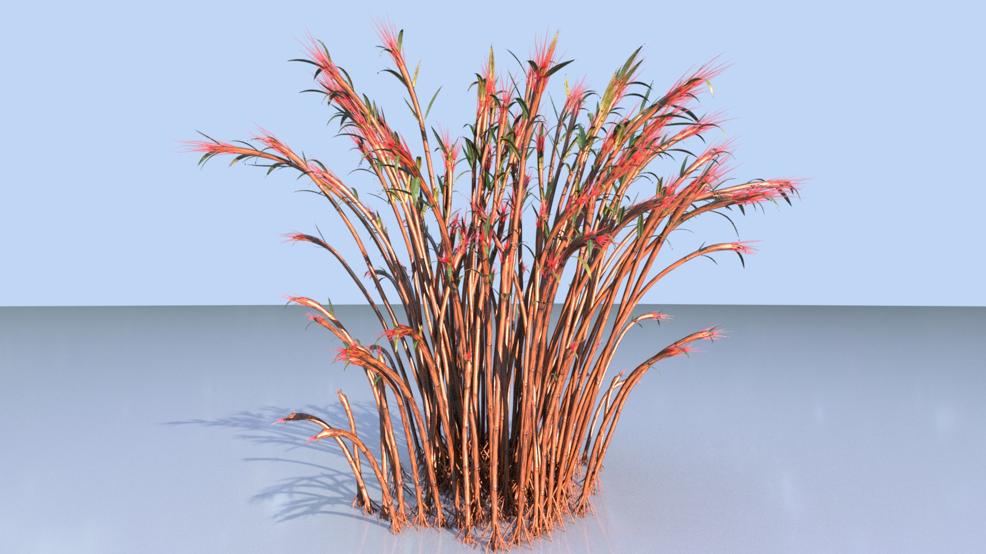 3D Forest Plant - TurboSquid 1867339