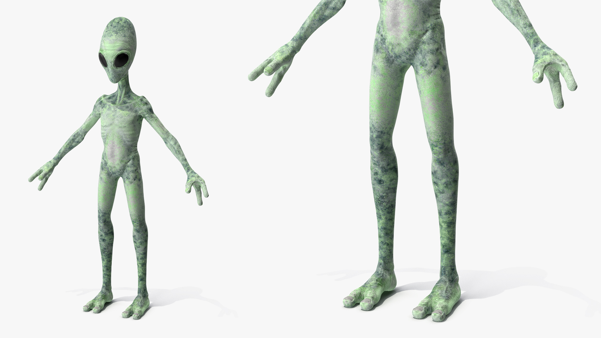 3D green alien rigged modo - TurboSquid 1640256