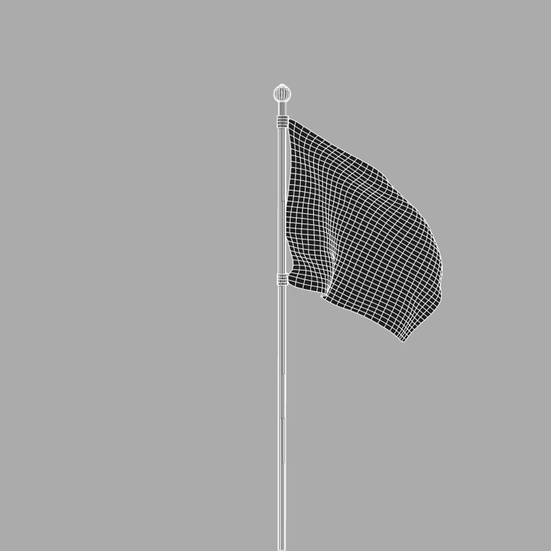 Animation Flag 3d 3ds
