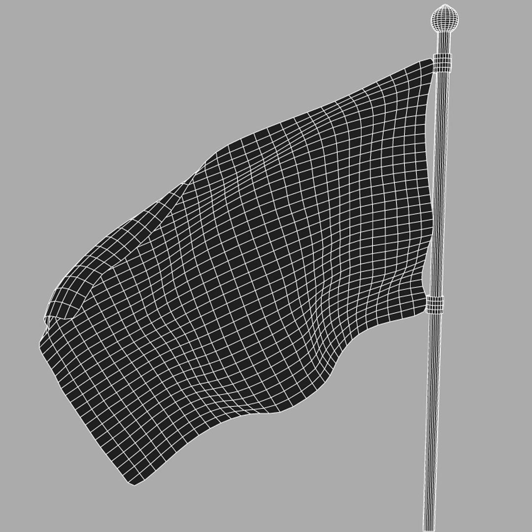Animation Flag 3d 3ds