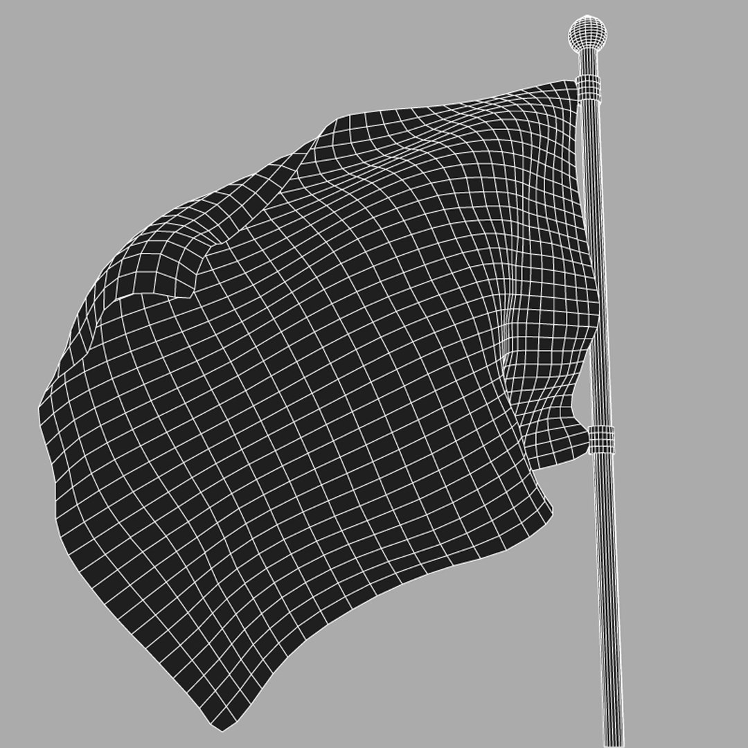 Animation Flag 3d 3ds