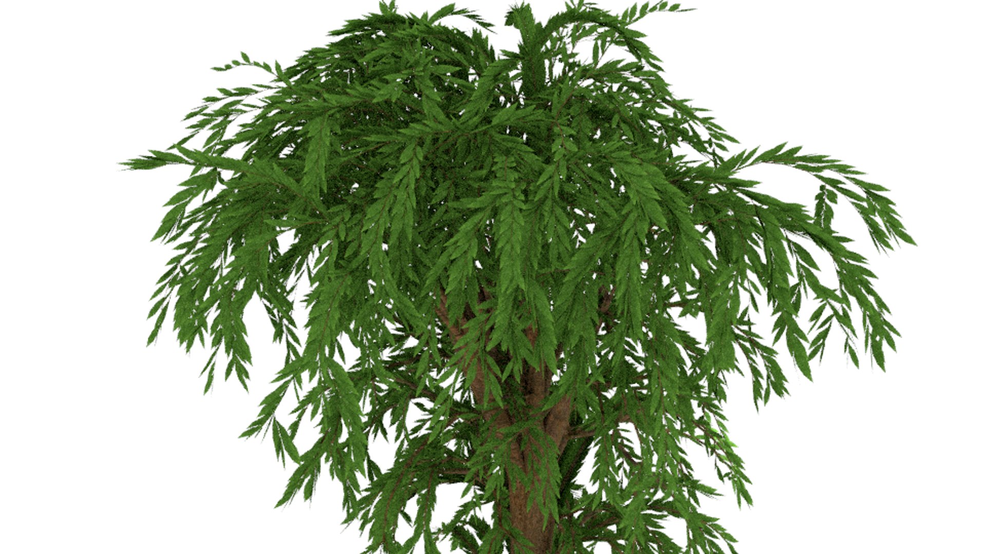 Willow tree 3D model - TurboSquid 1245139