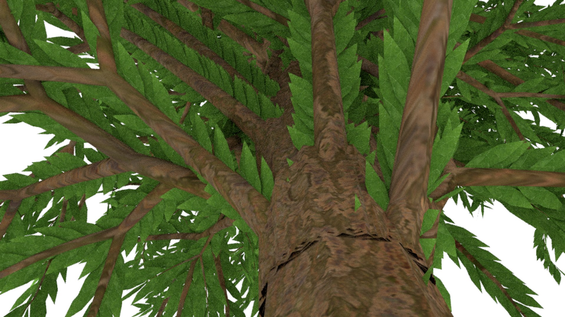 Willow tree 3D model - TurboSquid 1245139