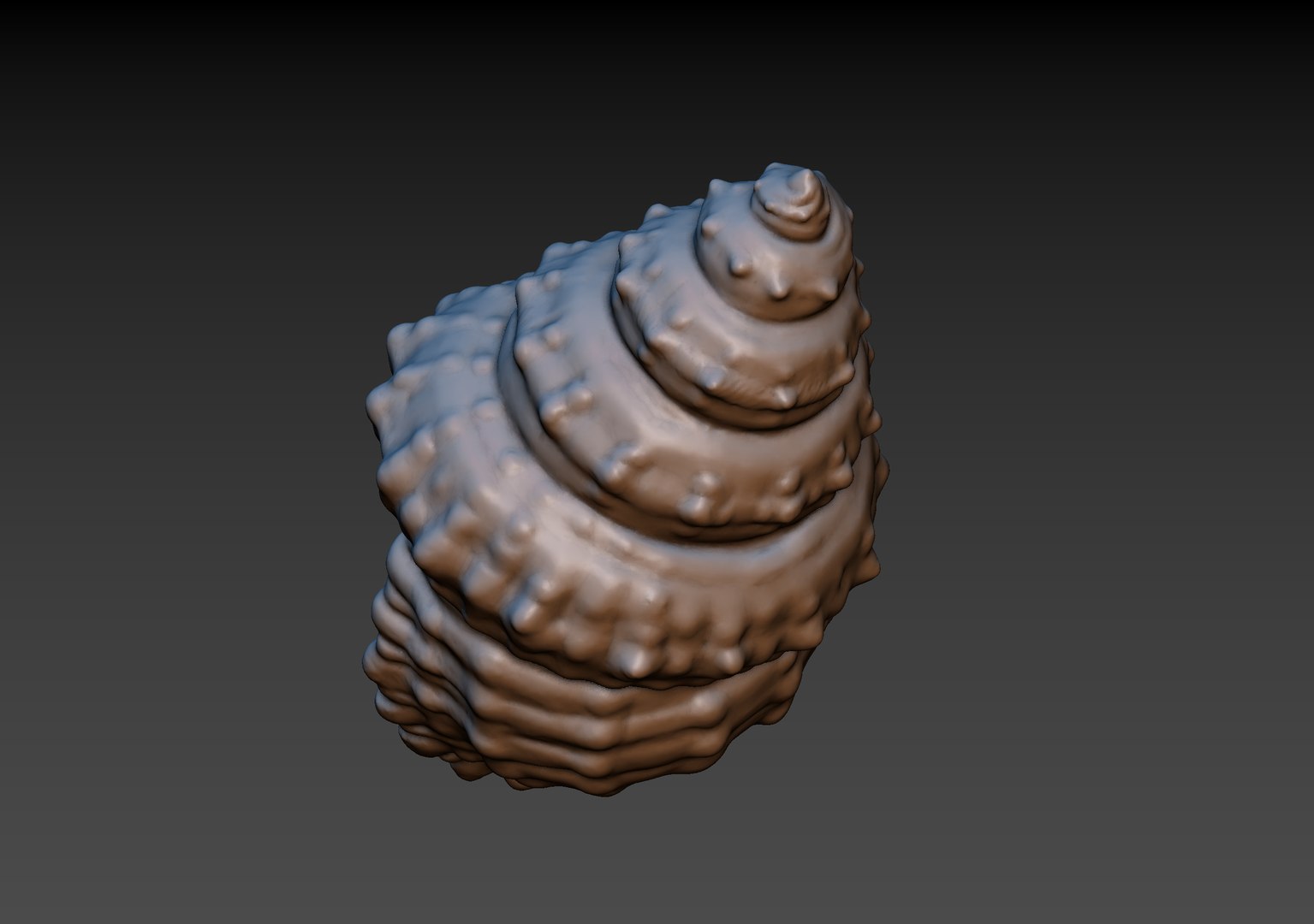 3D Seashell 3D Print - TurboSquid 1873756