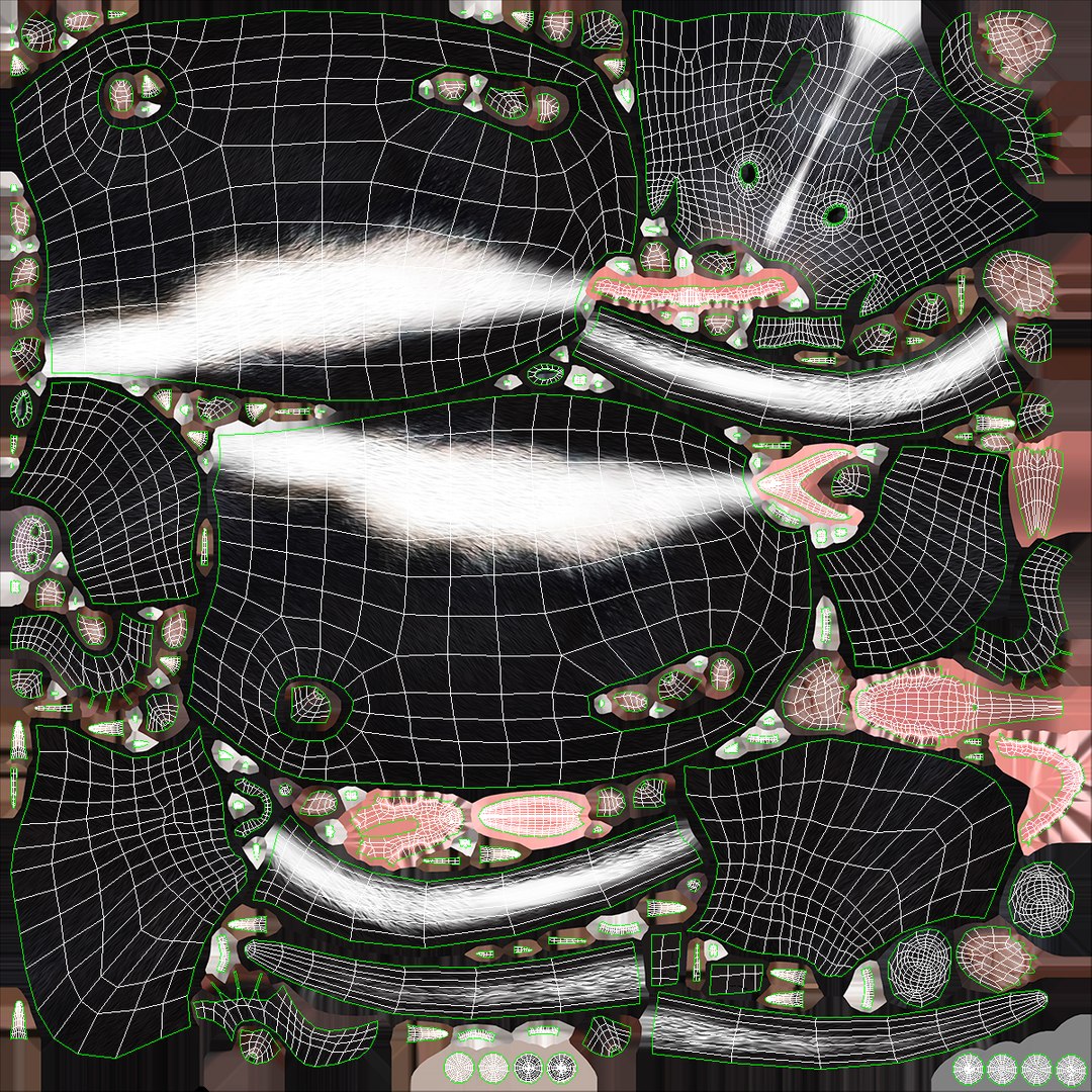 Skunk Wary Fur Model - TurboSquid 2107189