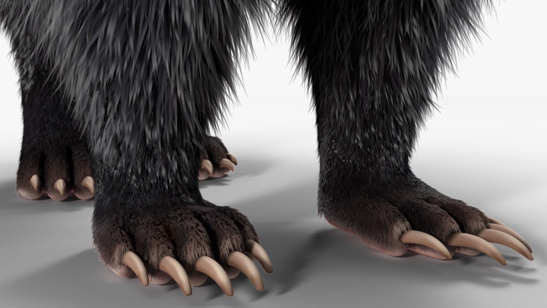 Skunk Wary Fur Model - TurboSquid 2107189