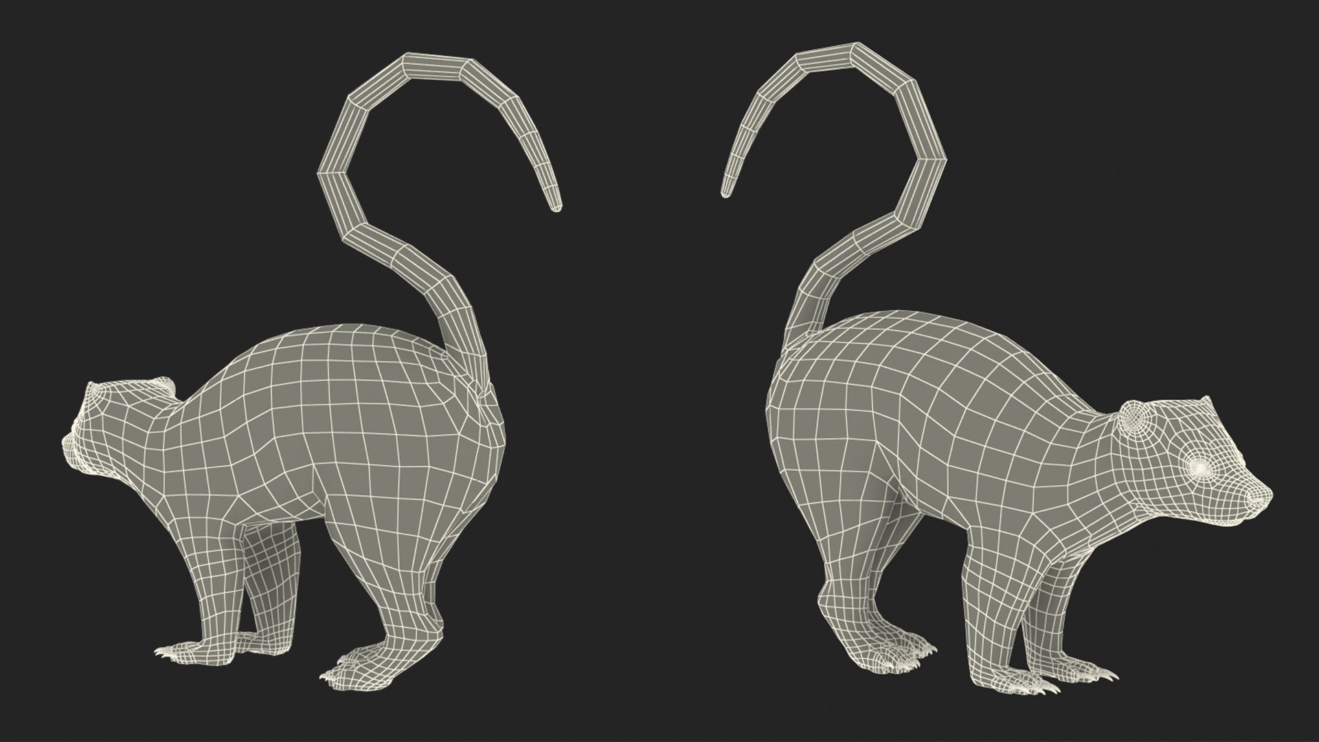 Skunk Wary Fur Model - TurboSquid 2107189