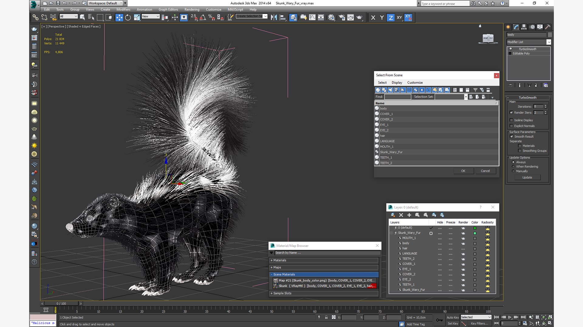 Skunk Wary Fur Model - TurboSquid 2107189